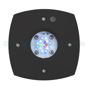 Prime 16 HD LED Light Freshwater - Black (incl EU 220V cable