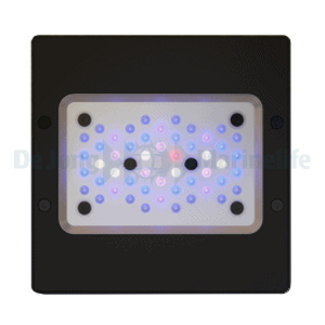 Radion XR15 G6 BLUE LED Light w/ EU cable