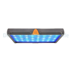 SKY LED Light